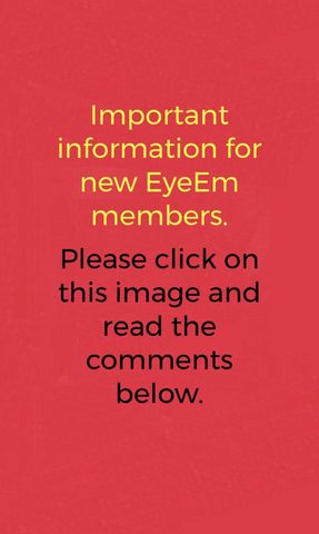 text 218758926 | Beautiful photography on EyeEm