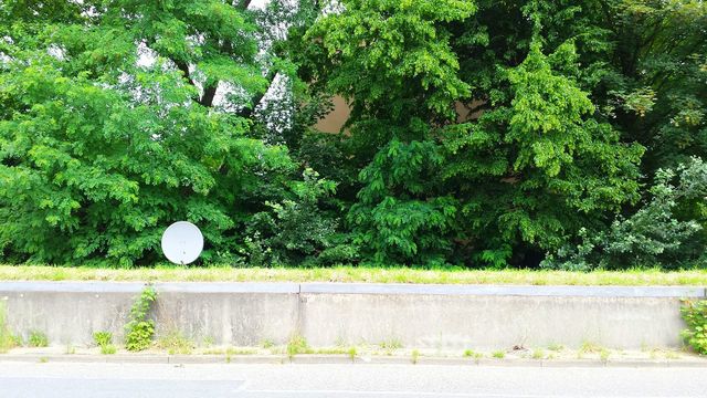 Retaining wall against trees | ID: 87476333