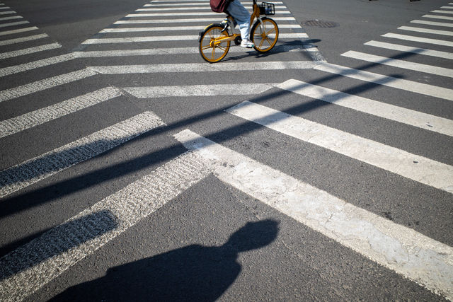 Bicycle Crossing pictures | Curated Photography on EyeEm