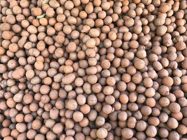 Full frame shot of seeds | ID: 128730672