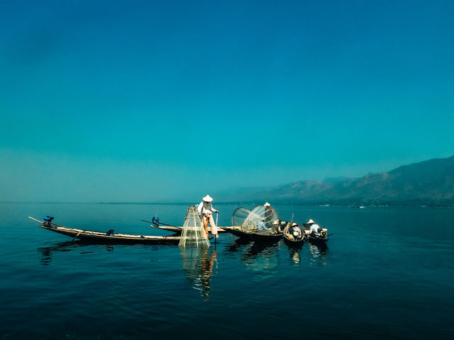 Dang pictures | Curated Photography on EyeEm