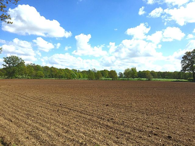 Field against sky | ID: 142568939