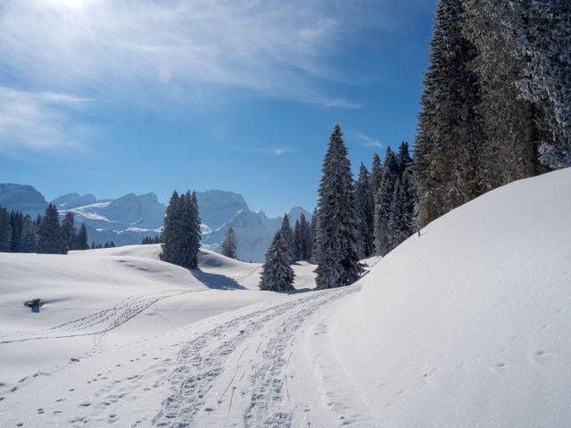 Snow covered land and trees against sky | ID: 128673487