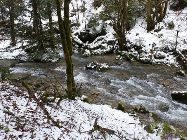 Torrent in winter. | ID: 139694455