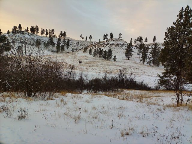 218514668 | Beautiful photography on EyeEm