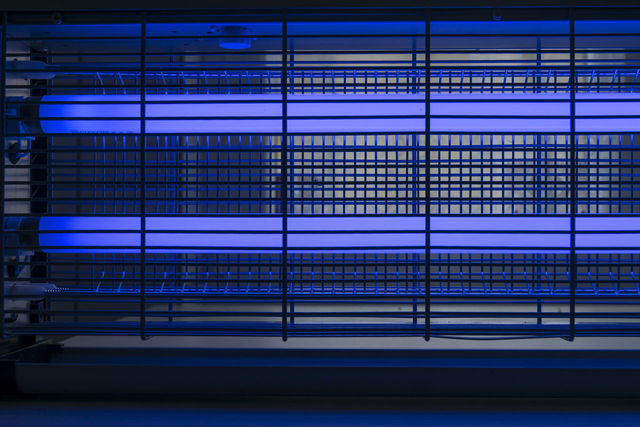 15 Ways of Seeing: Ultra Violet | EyeEm