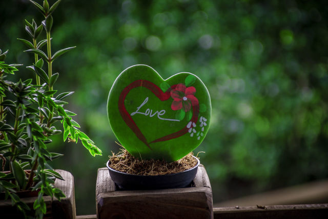 Heart shape on potted plant | ID: 178109780