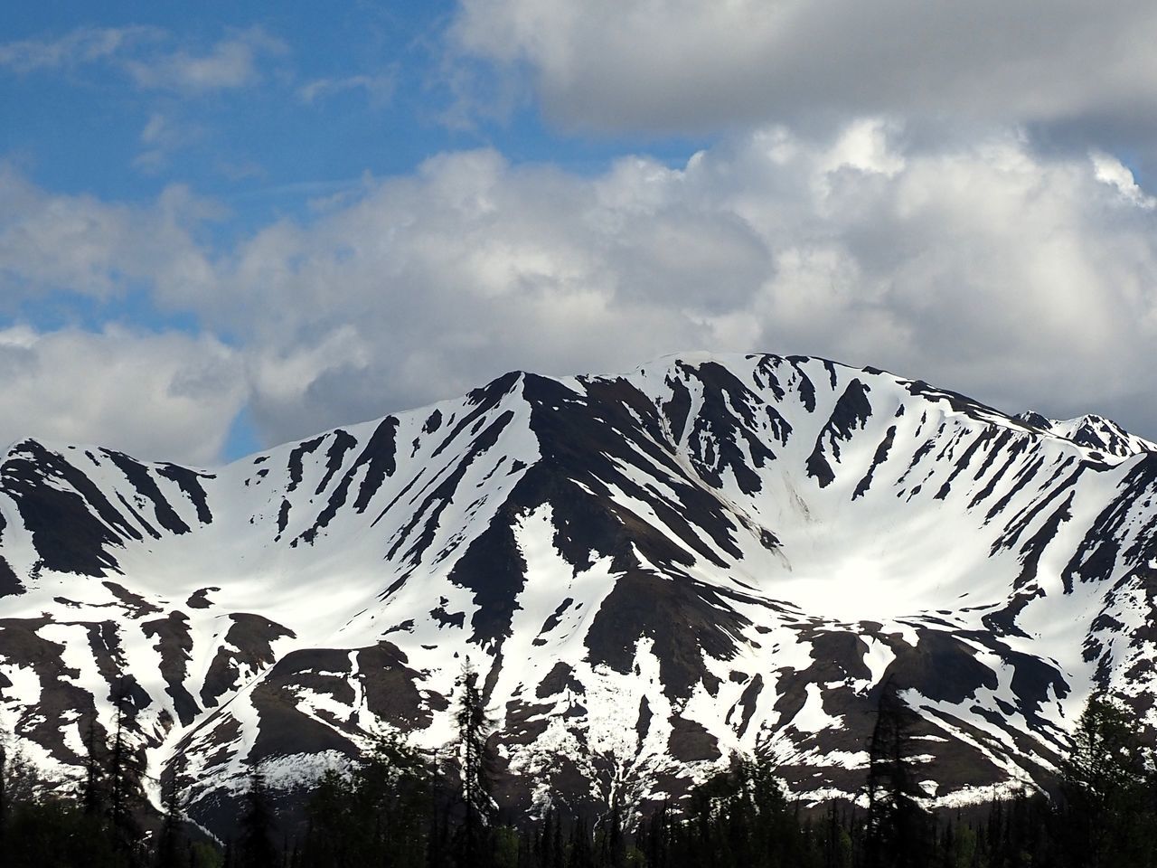 green 220420270 | Beautiful photography on EyeEm