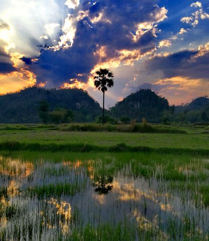 Scenic view of landscape against sky | ID: 120638182