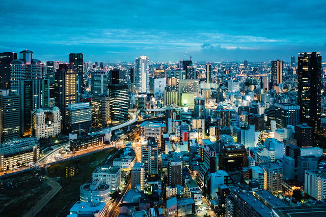 High angle view of city lit up at night | ID: 115569790