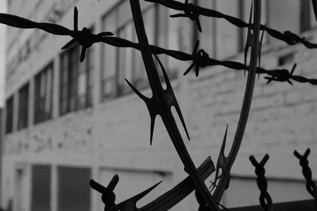 Close up of barbed wire | ID: 113477907