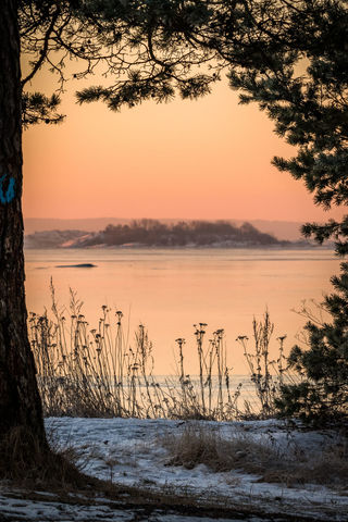 Scenic view of sea during sunset | ID: 109788362