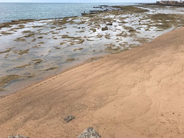 High angle view of sand on beach | ID: 143141435