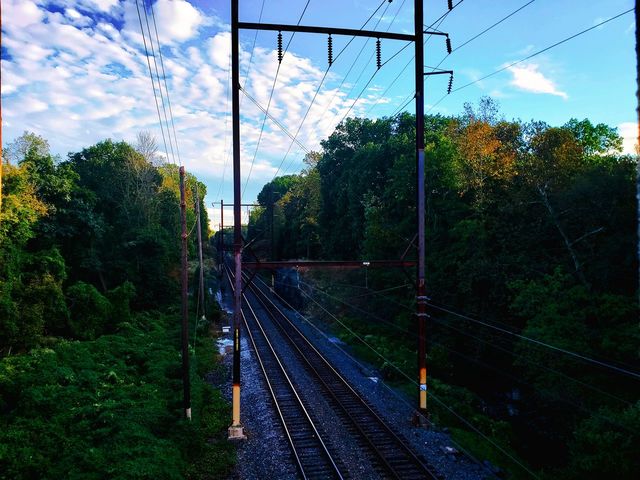 Railroad track amidst trees against sky | ID: 149121251