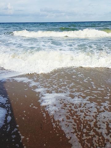 Scenic view of beach | ID: 115818580