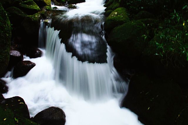 Scenic view of waterfall | ID: 94564163