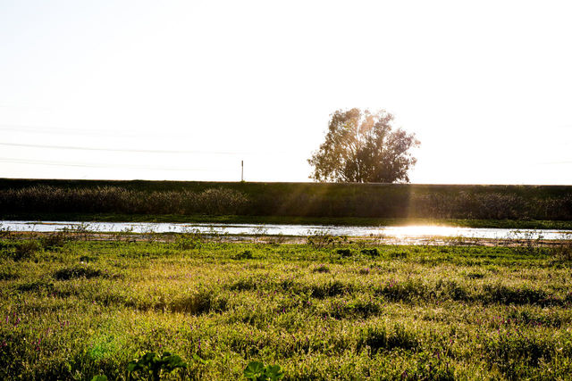 Scenic view of field against sky | ID: 160648910