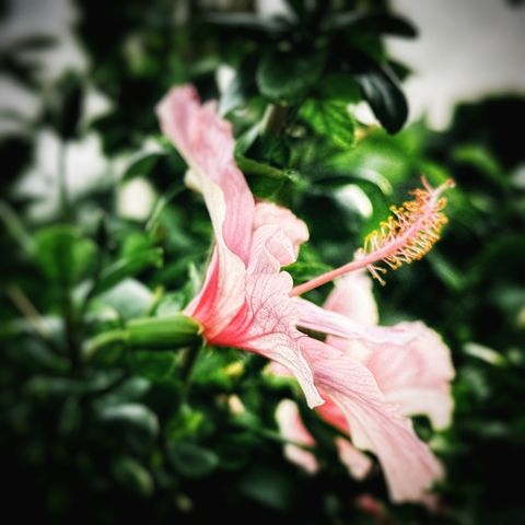 218517372 | Beautiful photography on EyeEm