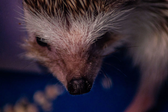 Lovely Creature pictures | Curated Photography on EyeEm