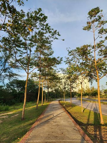 plant 211679935 | Beautiful photography on EyeEm