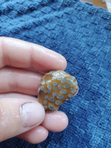 Close-up of hand holding ice cream cone | ID: 145101196