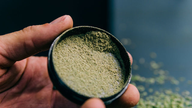 Buds pictures | Curated Photography on EyeEm