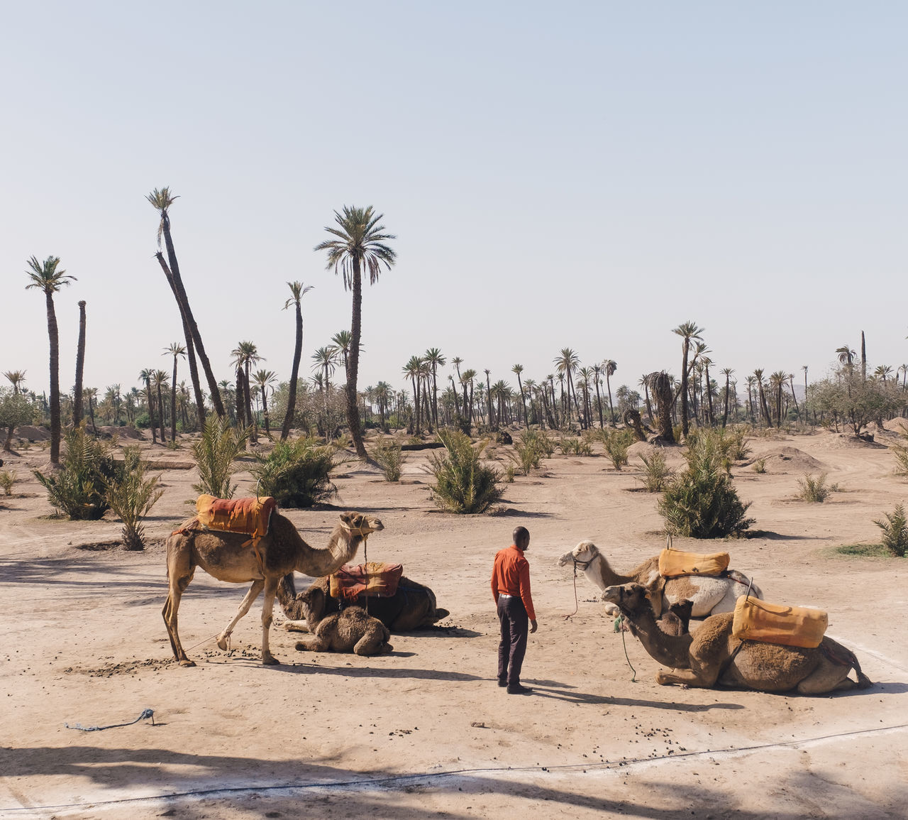 How to Add Location Tags to Photos and Why it's Worth Your Time | EyeEm