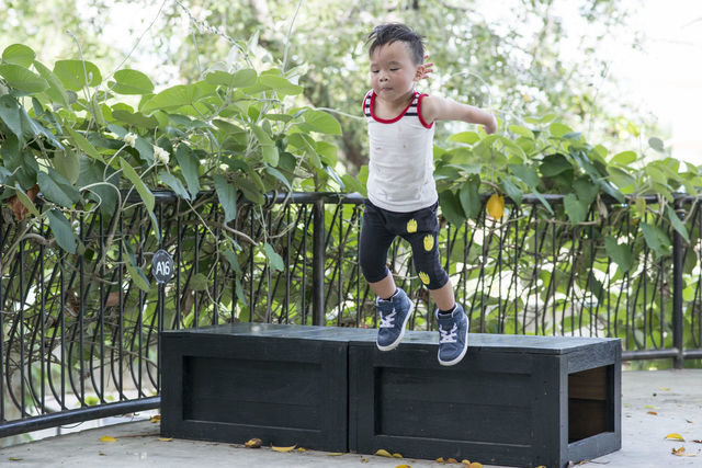 Boy jumping from wooden bench against plants | ID: 106400790