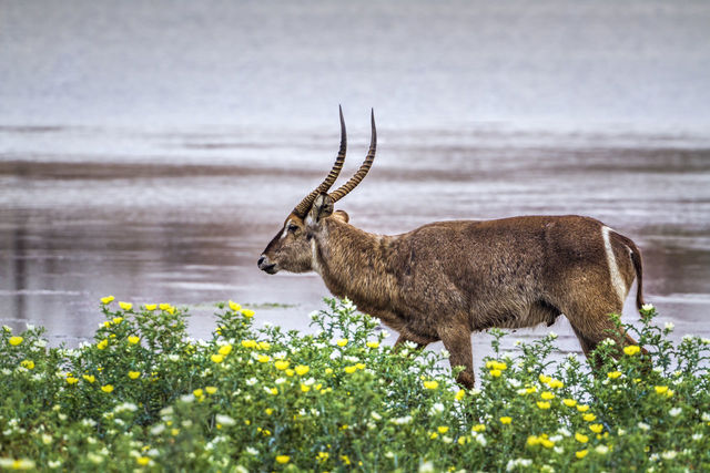 Antelope Lake pictures | Curated Photography on EyeEm