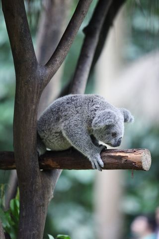 Fon pictures | Curated Photography on EyeEm