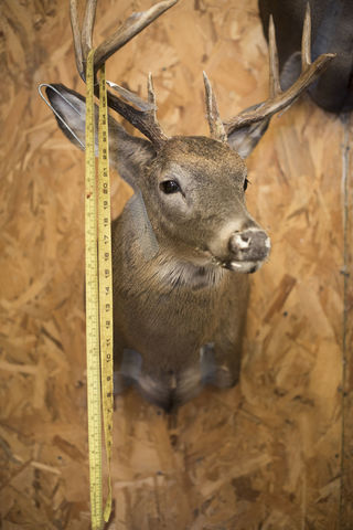 Lyman, Ms pictures | Curated Photography on EyeEm