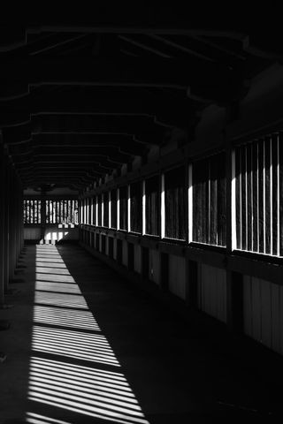 black 210102830 | Beautiful photography on EyeEm