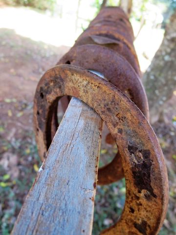 Close-up of rusty metal tree | ID: 106519642