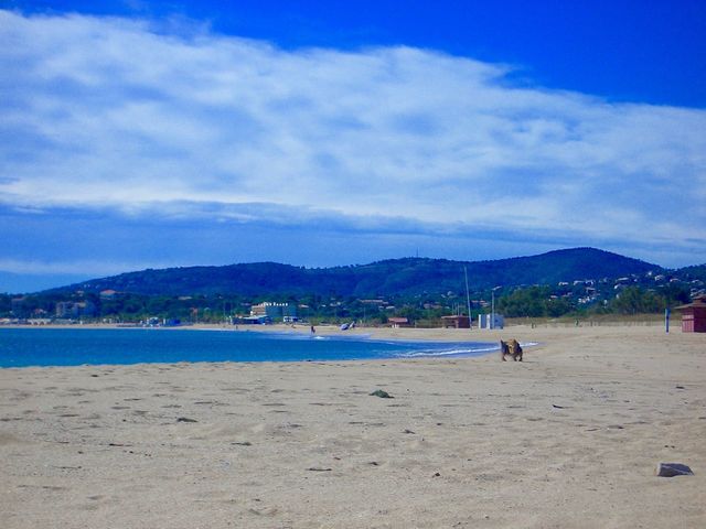 Scenic view of sea against cloudy sky | ID: 86862299