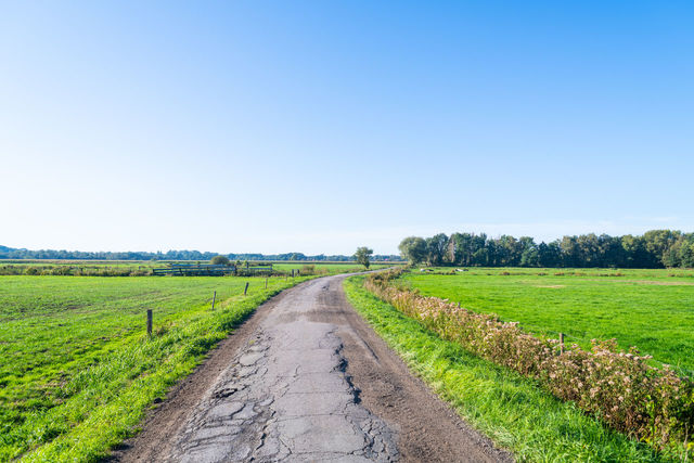 Proximity pictures | Curated Photography on EyeEm