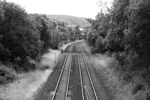 Railroad track by trees against sky | ID: 109353158