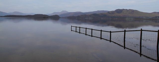 Rspb pictures | Curated Photography on EyeEm