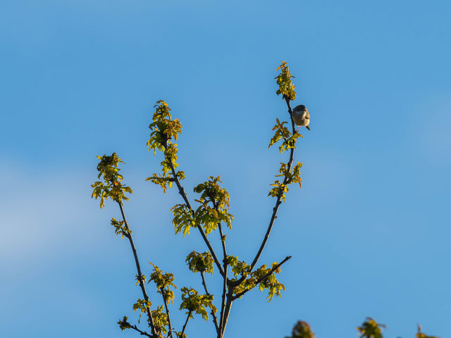 218502737 | Beautiful photography on EyeEm