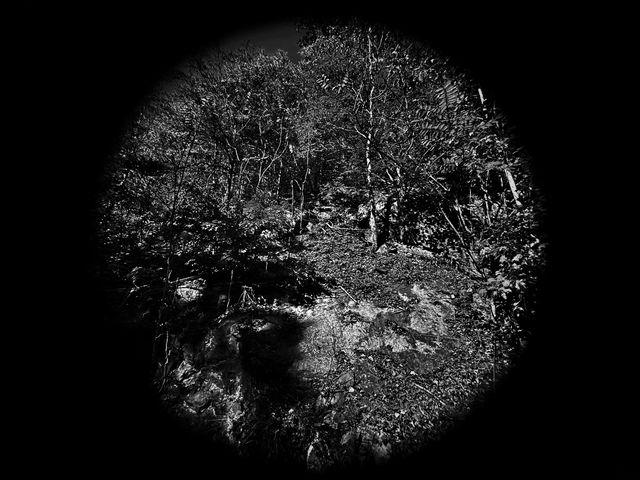 219461182 | Beautiful photography on EyeEm