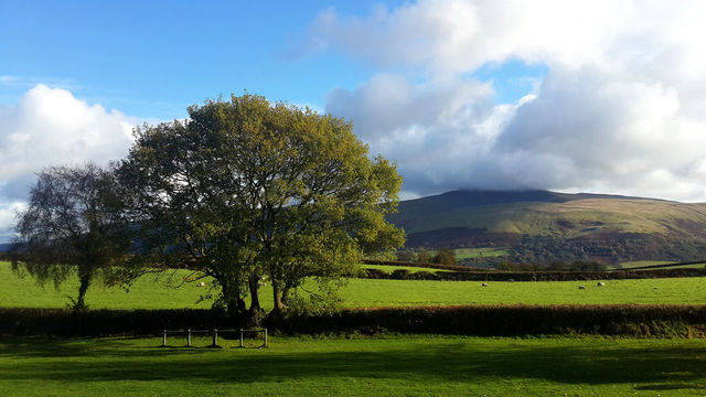 Scenic view of field against sky | ID: 97916724
