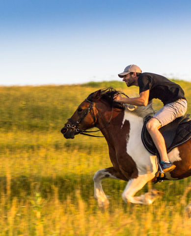 Side view of man riding horse on field | ID: 137866581
