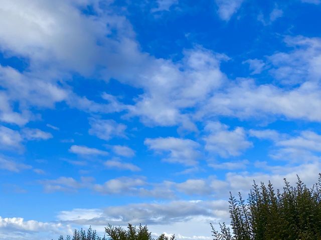 Low angle view of blue sky | ID: 158646135