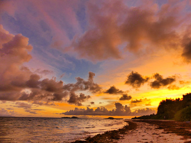 Scenic view of beach against sky during | ID: 154005747