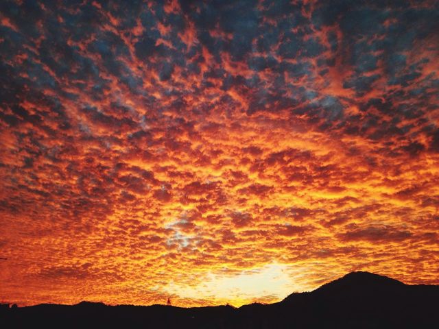 Scenic view of sky during sunset | ID: 100096313