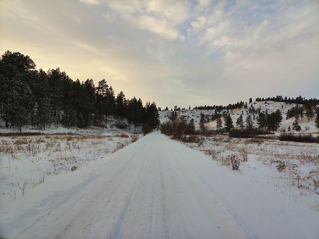 218514644 | Beautiful photography on EyeEm