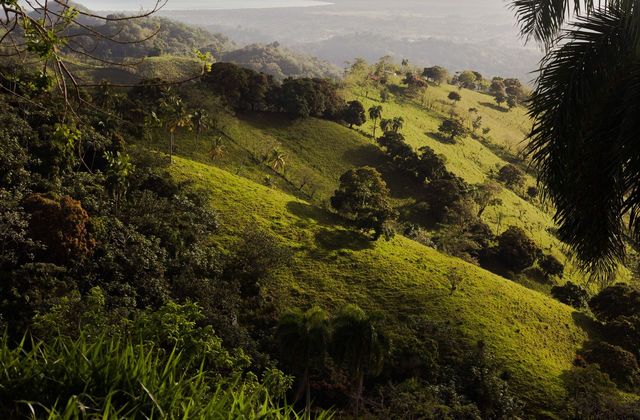 Close-up of green landscape against sky | ID: 104372131