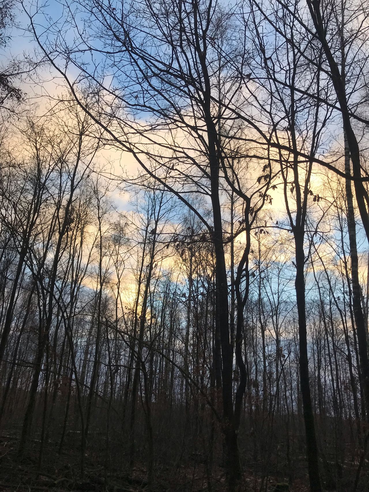 Scenic view of sea against sky | ID: 140175694