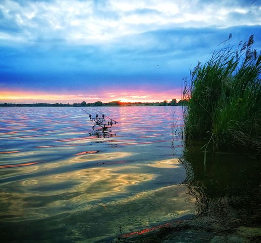 Scenic view of sea during sunset | ID: 142203611