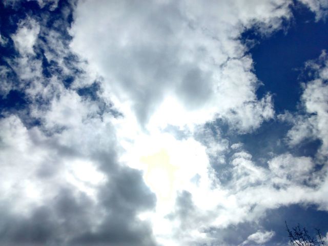 Low angle view of sky | ID: 150409789