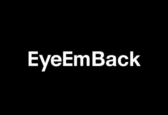 EyeEmBack brief from EyeEm | EyeEm